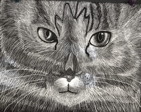 Hs Scratch Art Lesson Scratchboard Create Art With Me