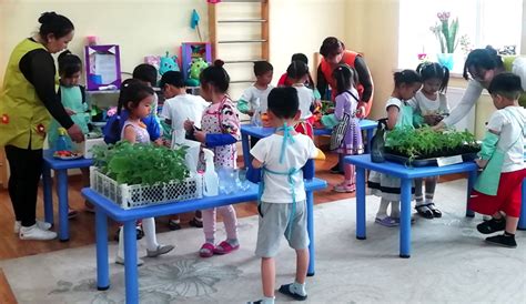 ДАРХАН УУЛ Цэцэрлэгийн хүүхдүүд нэг наст цэцгийн үрсэлгээ бэлтгэжээ