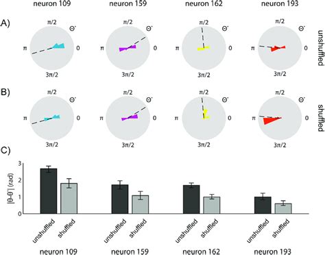 Effects Of Shuffled Dataset On Alignment Accuracy Evaluation Of Download Scientific Diagram