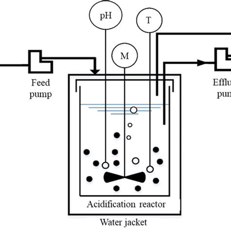 Schematic Diagram Of The Reactor Set Up Download Scientific Diagram