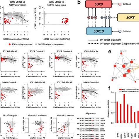 Position Specific Mismatch Tolerance Of The Spacer For Double Mismatch