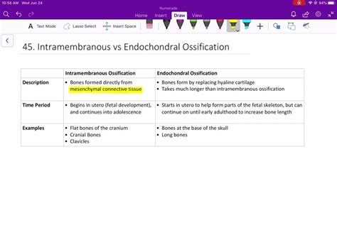 In What Ways Do Intramembranous And Endochondral Ossification Differ