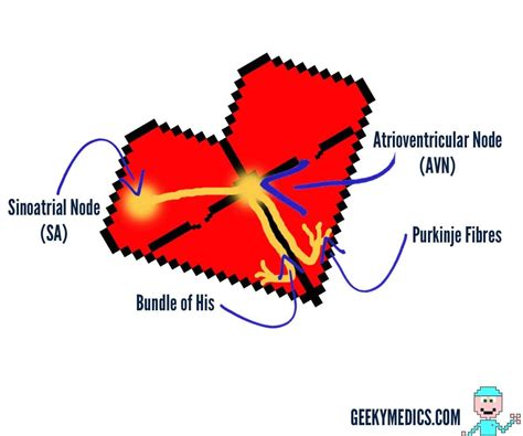 How To Read A Ctg Artofit