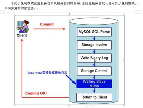 MySQL主从复制 一主两从 RoomC 博客园
