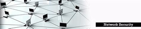 security assessment vulnerability management and penetration testing