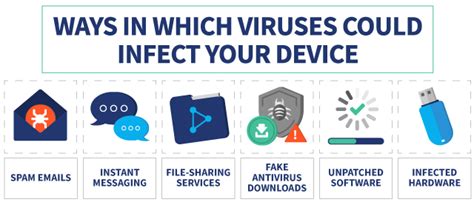 How To Avoid Viruses On Your Computer Signexercise