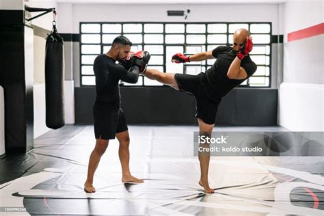 체육관에서 트레이너의 손에 직접 발로 빨간 권투 장갑과 그의 고농축 트레이너와 킥복싱 남자 훈련 킥복싱에 대한 스톡 사진 및 기타 이미지 Istock