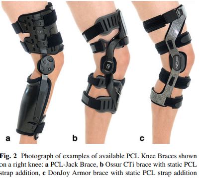 Posterior Cruciate Ligament Pcl Injuries Pogo Physio Gold Coast