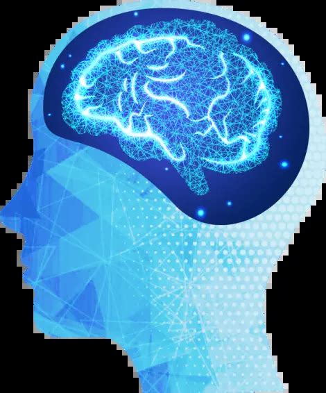 Top Ai Development Services Logic Simplified Pvt Ltd