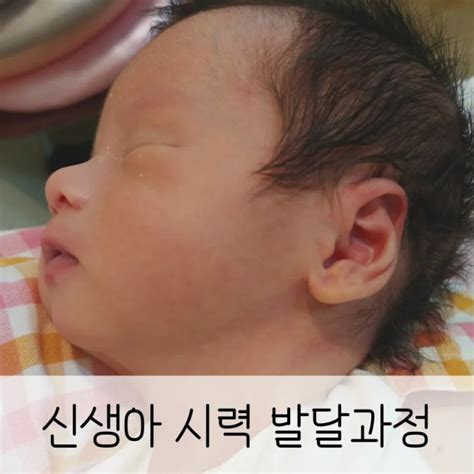 신생아 눈뜨는 시기 눈맞춤은 언제부터 신생아 시력발달과정 네이버 블로그