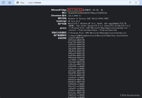 Windows使用selenium操作edge浏览器实现爬虫selenium Edge Csdn博客