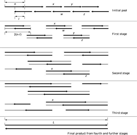 3 Parallel Overlap Assembly Method From 29 Download Scientific Diagram 3 Parallel Overlap Assembly Method From 29 Download Scientific Diagram