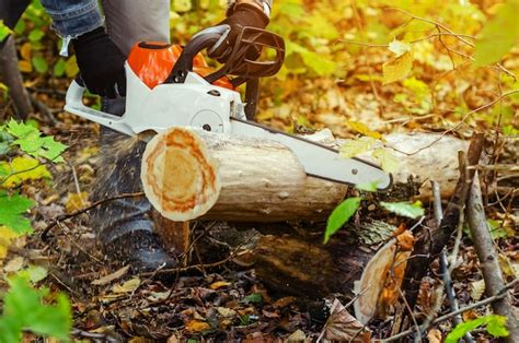 Premium Photo Low Section Of Man Cutting Tree Trunk With Chainsaw In Forest