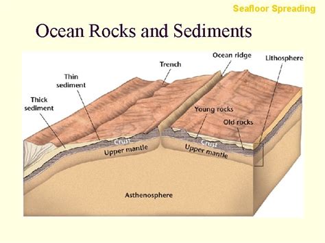 Seafloor Spreading Objectives N Summarize The Evidence That