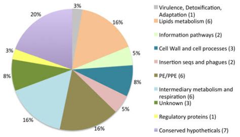 Functional Classification Of The Genes Affected By Snps Described In Download Scientific
