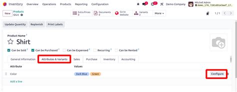 Product Variants And Attributes In Odoo 17 Inventory Odoo V17
