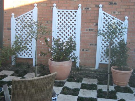 Timber Lattice Thomsons Outdoor Pine Timber Lattice Thomsons Outdoor Pine