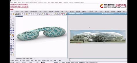 一知名博物馆的犀牛参数化建模，分割，编号，摊平，下料和施工过程 哔哩哔哩 Bilibili