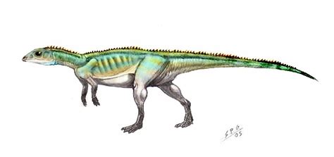 Lesothosaurus Pictures And Facts The Dinosaur Database