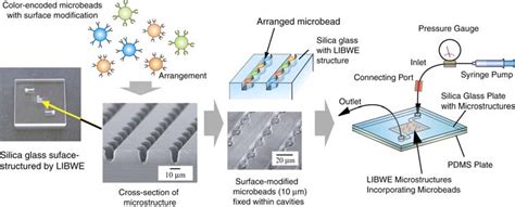 fabrication of microfluidic beads array device for dna analyses