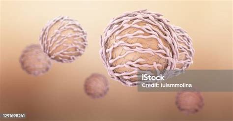 Limfosit Ilustrasi 3d Tampilan Closeup Selt Atau Sel B Foto Stok