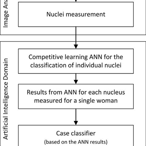 Flow Chart Of The System Architecture Download Scientific Diagram