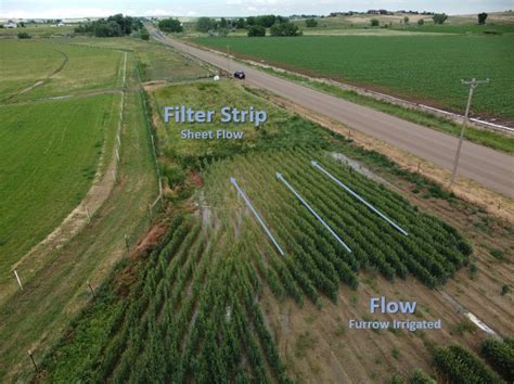 Filter Strips Sera 17