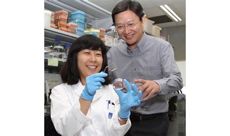 Recreating Embryo Development In A Dish Asian Scientist Magazine