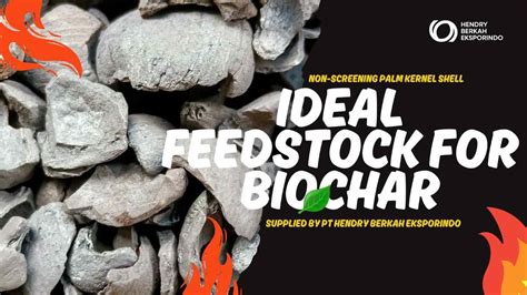 Palm Kernel Shell A High Value Biomass Fuel With Global Impact