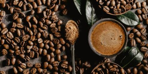 10 Best Gourmet Coffee Brands Reviews & Top Picks | Crazy Coffee Crave