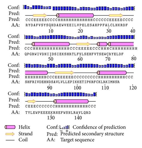 Multiple Sequence Alignment And Secondary Structure Prediction Of Download Scientific Diagram