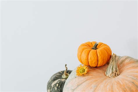 Copy Space 가을 가을 수확 가을 장식 건강한 건강한 식생활 계절 과일 금잔화 꽃 냄비 메리 골드 녹색 농산물 농업 농작물 다이어트