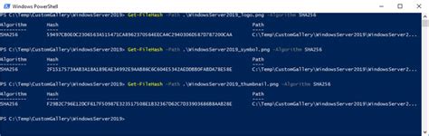 How To Create Custom Hyper V Gallery