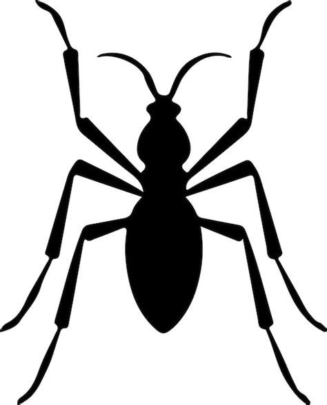 Premium Vector Assassinbug Silhouette