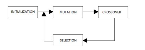 14 Differential Evolution Algorithms Scheme Download Scientific