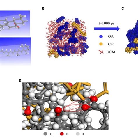 Molecular Dynamics Md Simulation Of Car Oa Nps The Optimal Geometry Download Scientific