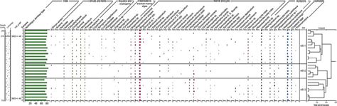 Relative Frequencies And Cluster Diagram Applied To Pollen And Download Scientific Diagram