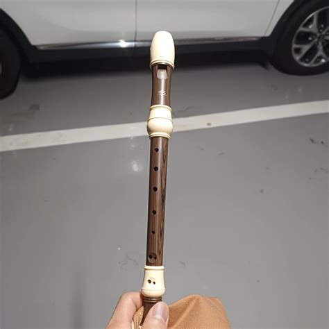 리코더 당근마켓 중고거래
