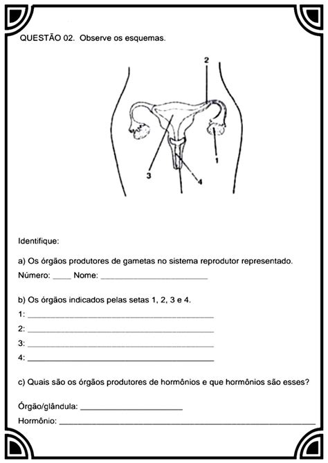 Exercícios Sobre Sistema Reprodutor Masculino E Feminino Braincp