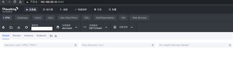 Apache Skywalking Zt