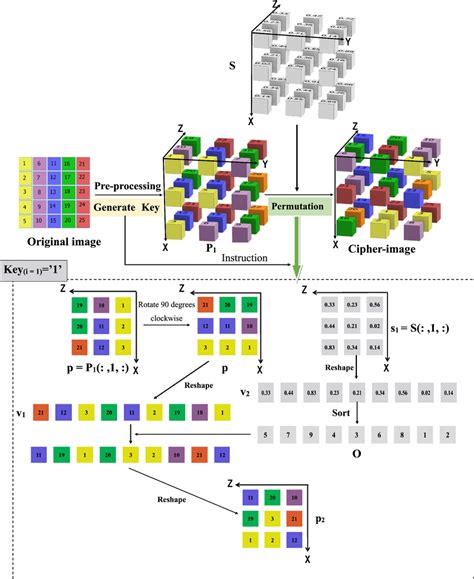 demonstration of cmct permutation download scientific diagram
