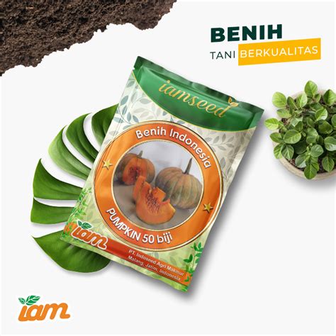 Pumpkin 50 Biji Labu Hijau — Pt Indoseed Agri Makmur — Menjual Semua