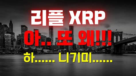 리플 진짜 돌아버리겠네 Youtube