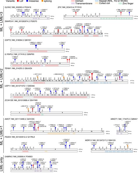 Damaging Variants In Selected Predicted Disorder Associated Download Scientific Diagram
