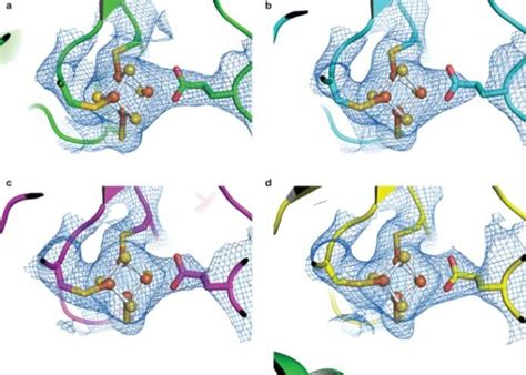 Representation Of The Cluster Binding Site Left In Which 3 Conserved Download Scientific