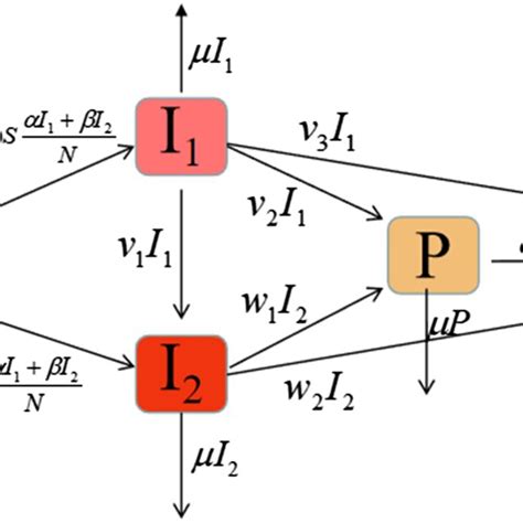 Transfer Diagram Of Model Colour Figure Can Be Viewed At Download Scientific Diagram