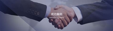 成功案例