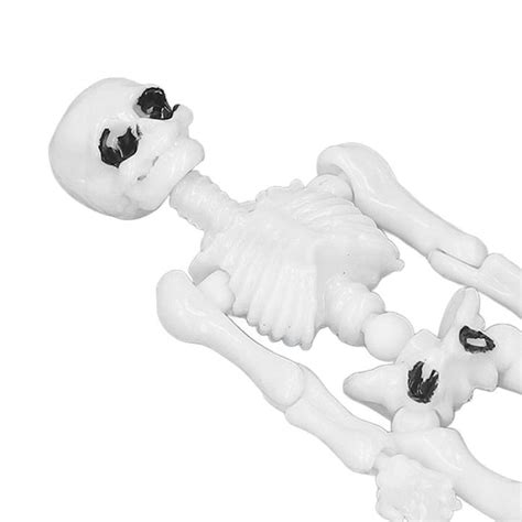 Human Body Skeleton Model Human Skeleton Toy Safe Hard Wearing Plastic Educational Improve