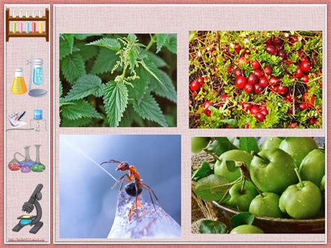 Презентация по химии на тему Кислоты 8 класс Скачать школьные презентации Powerpoint