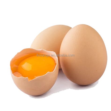 Egg Juice Pasteurizing Machine For Sale Milk Pasteurization Equipment